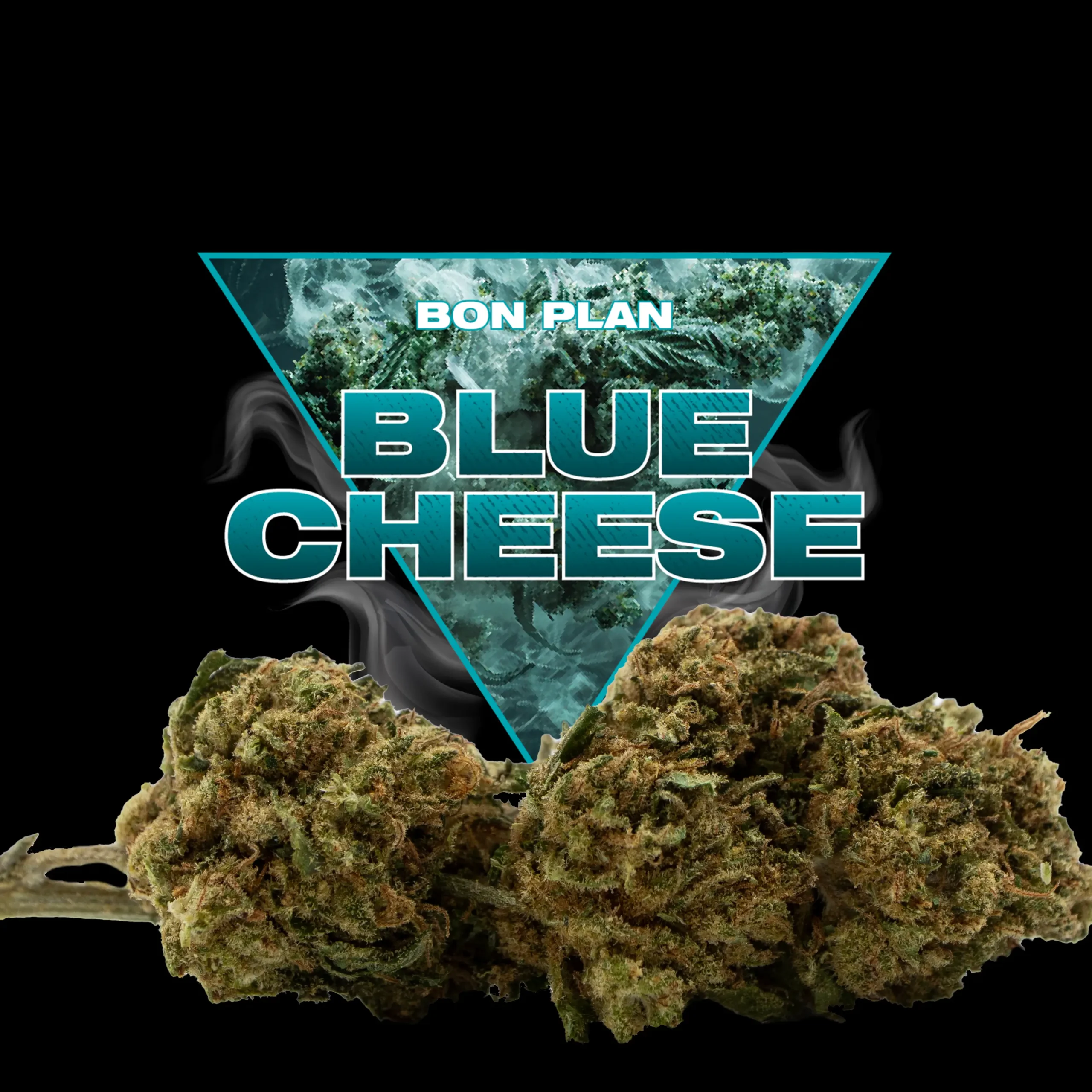Blue Cheese CBD | Fleur CBD Indoor Fromagère Premium