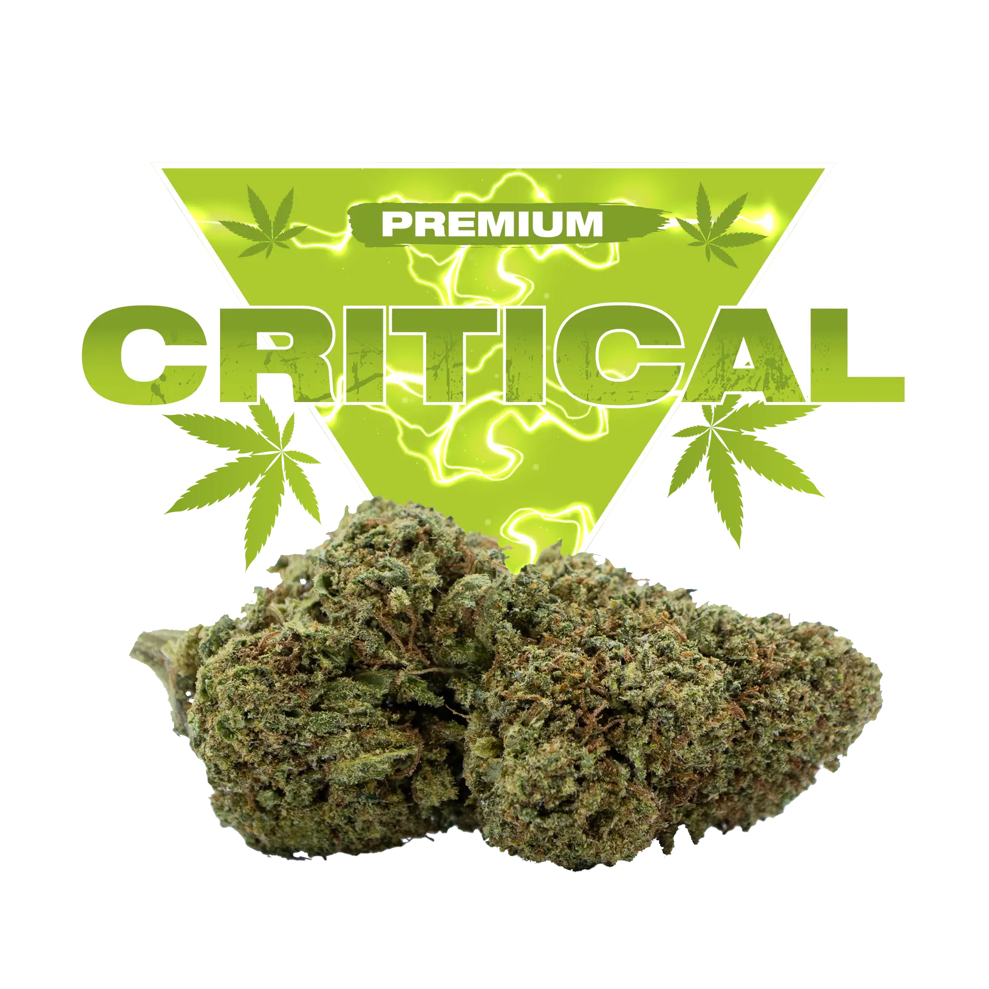 Critical CBD | GoldenCBD